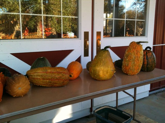 Meet the Lunch Ladies at Papa’s! – Papa's Pumpkin Patch