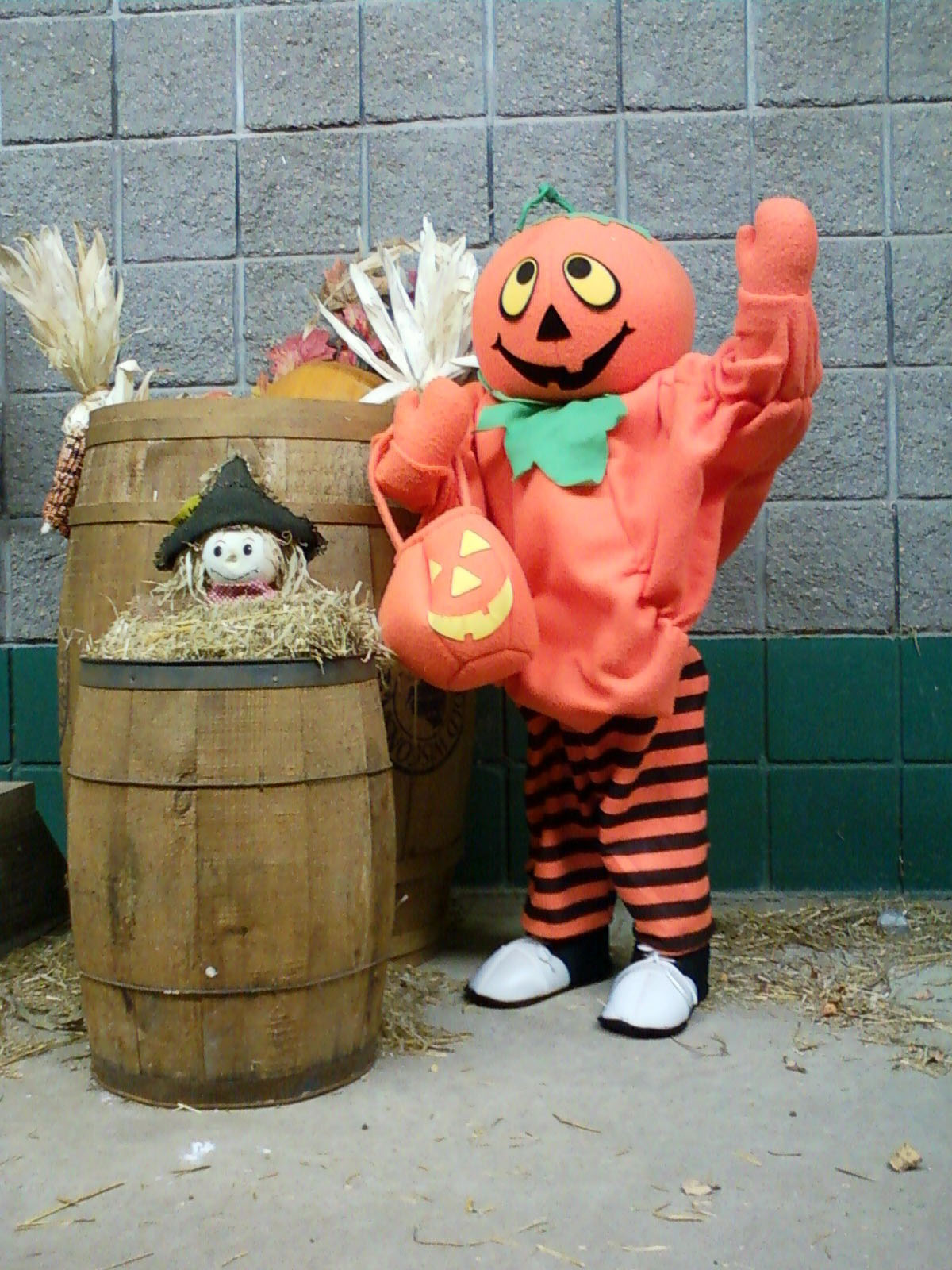 punkin fella – Papa's Pumpkin Patch