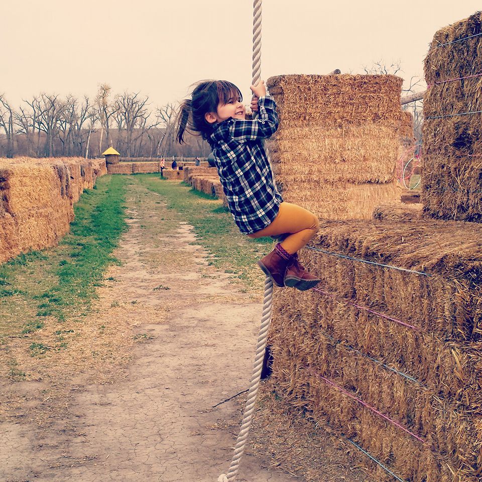 Plan Your Visit – Papa's Pumpkin Patch