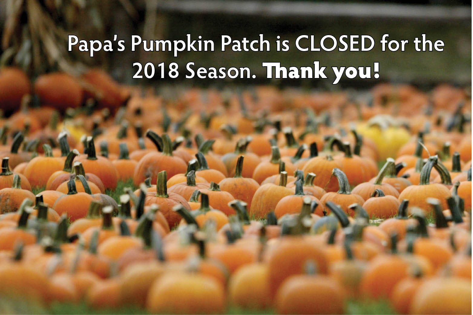 Papa’s Is Closed for the 2018 Season – Papa's Pumpkin Patch