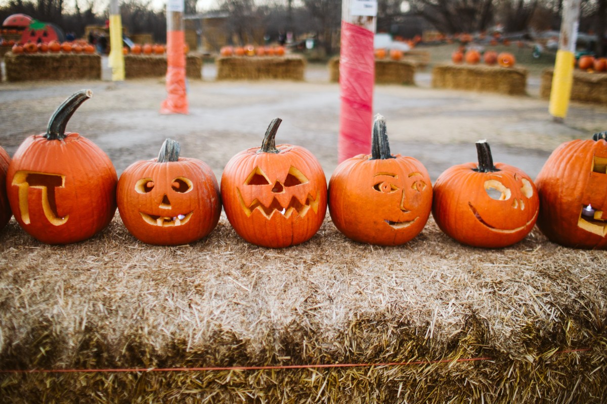 *Special Announcement #3* – Papa's Pumpkin Patch