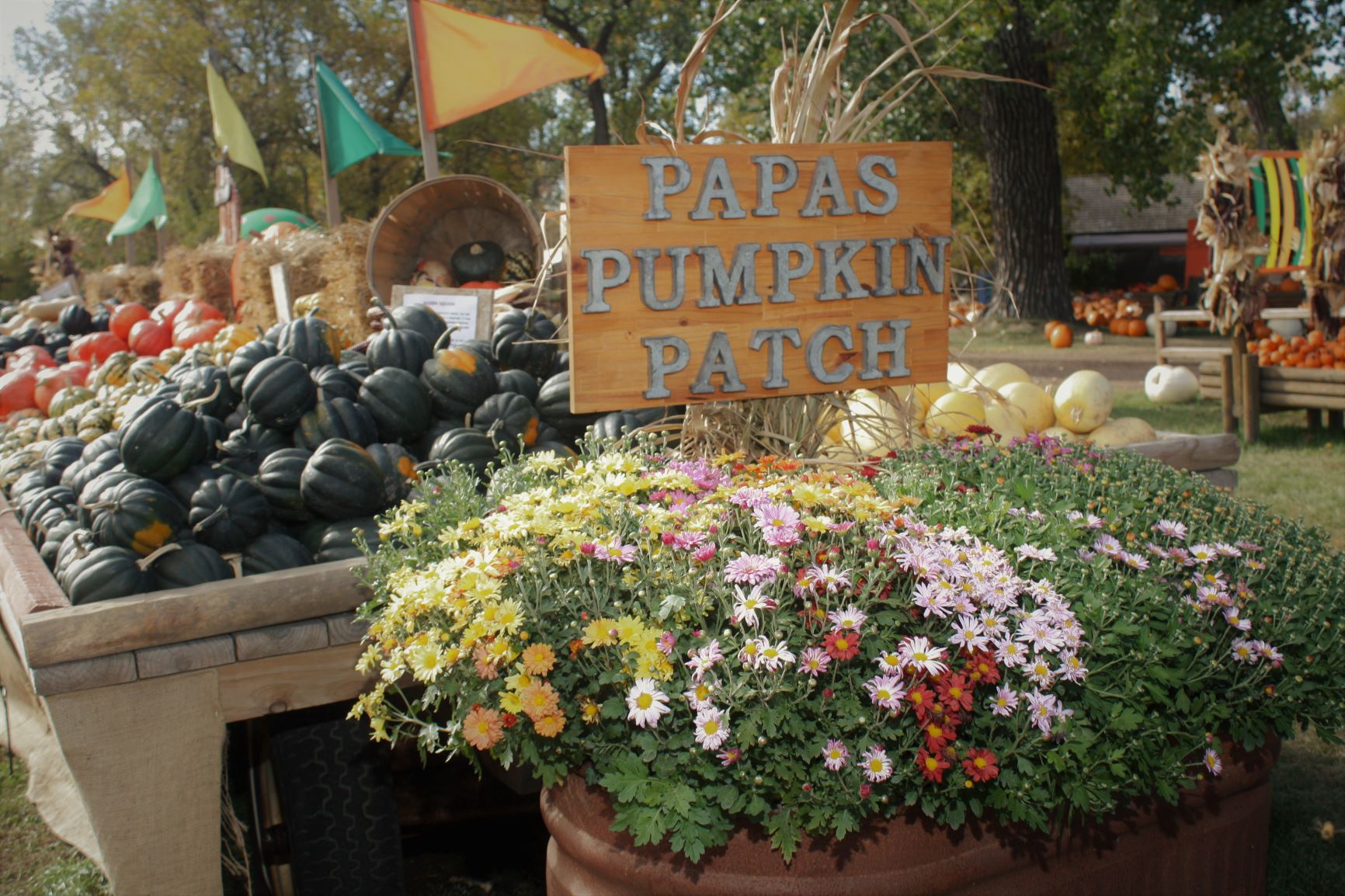 -OPEN- Sunday, October 6th – Papa's Pumpkin Patch