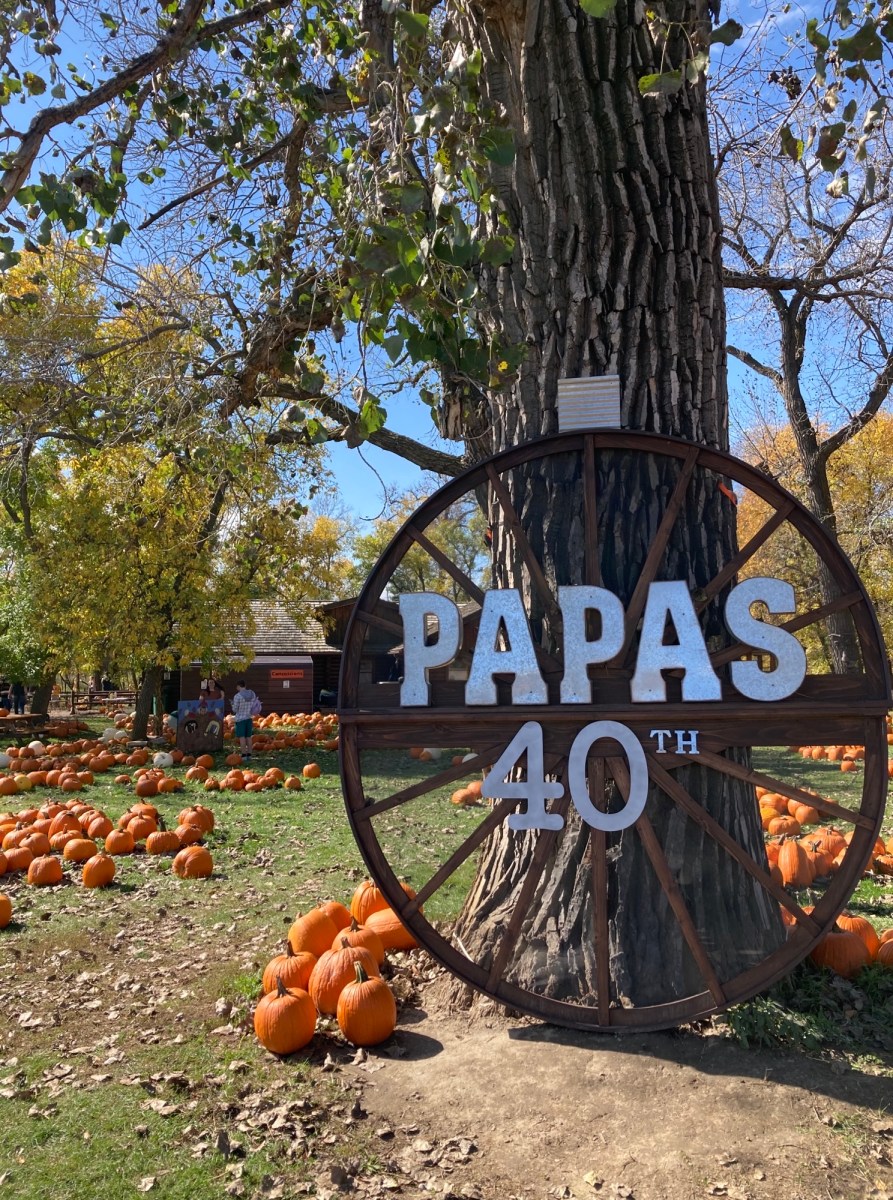 40th Anniversary Fun – Papa's Pumpkin Patch